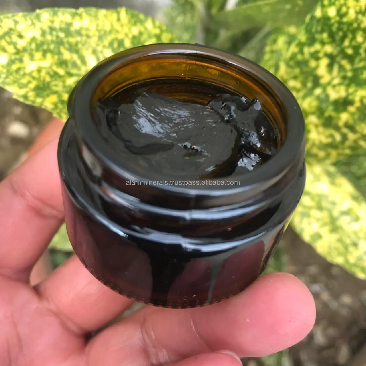 Pure Himalayan Shilajit - Best Quality & Customized Packing