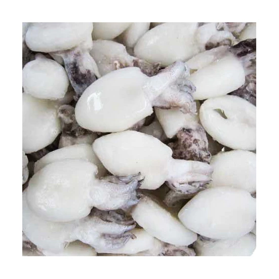 Best Quality Cuttlefish - Frozen Cuttlefish at Competitive Price
