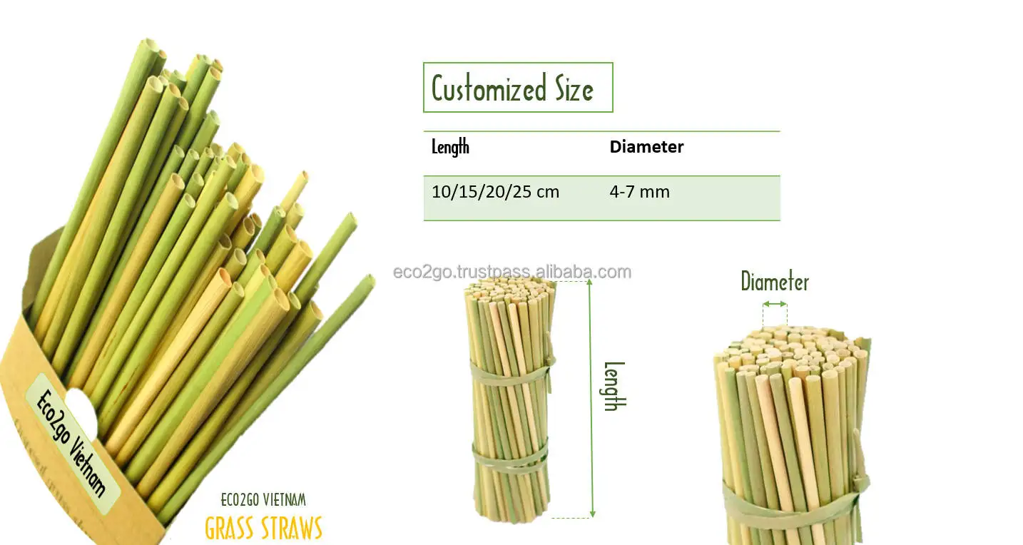 Grass Straw Eco Friendly Biodegradable Disposable 100% Natural Grass ...