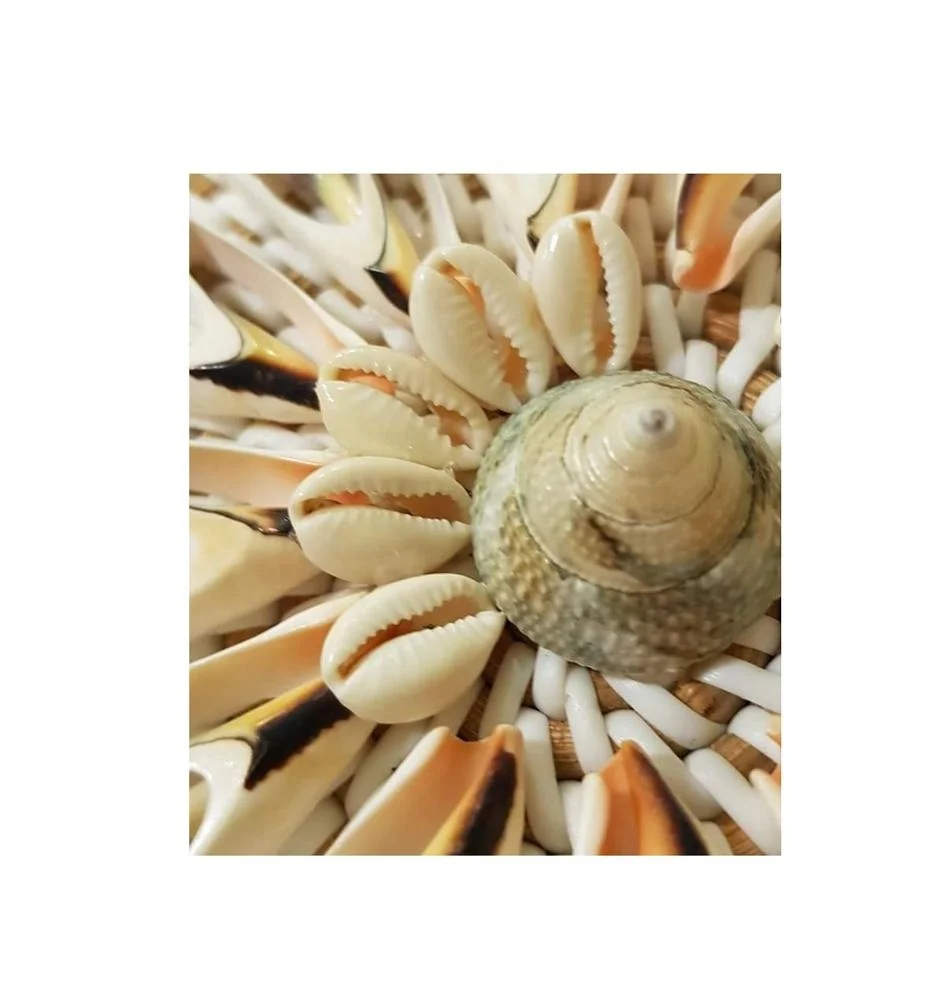 cowrie shells/Vietnam cowrie shells( 0084587176063 whatsapp)| Alibaba.com
