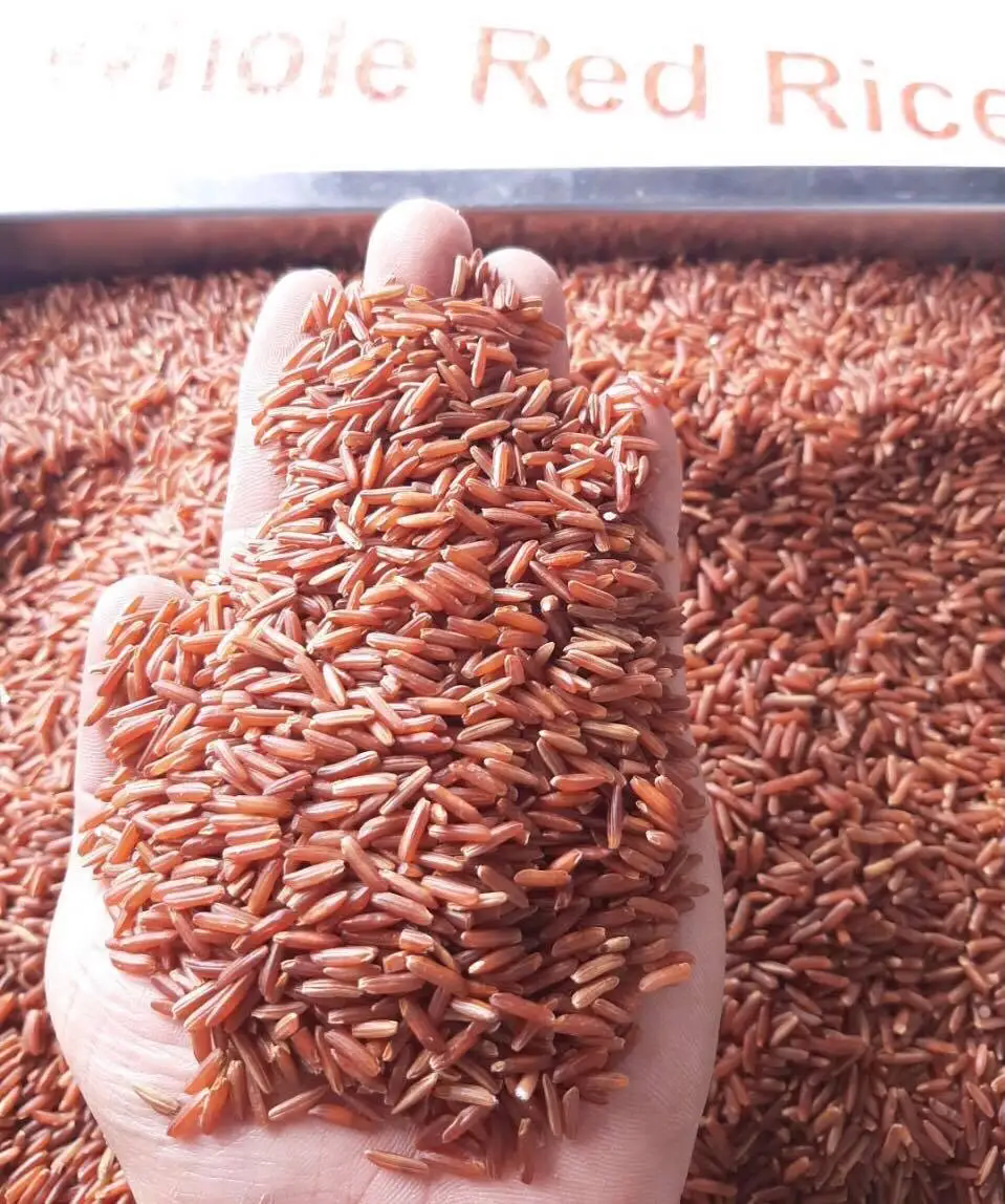 Diabetic Rice Red Rice/Black Rice/Brown Rice Vietnam Rice Exporters ...