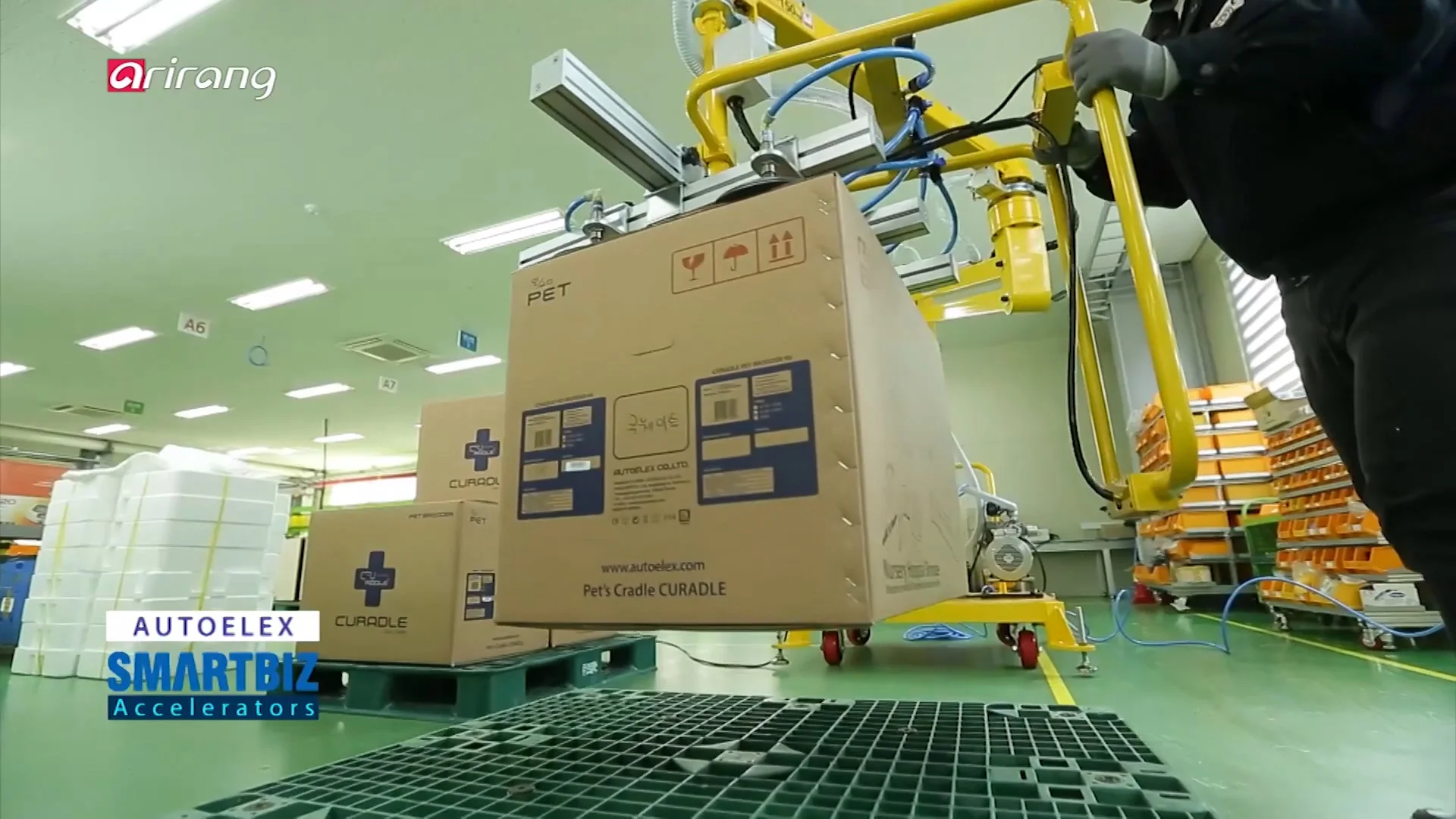 Included A Tray And Divider Chicken Eggs Incubator With Automatic ...