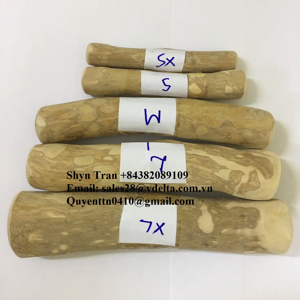 Chew Toys Made of Coffee Wood for Dogs - Fun & Dental Benefits