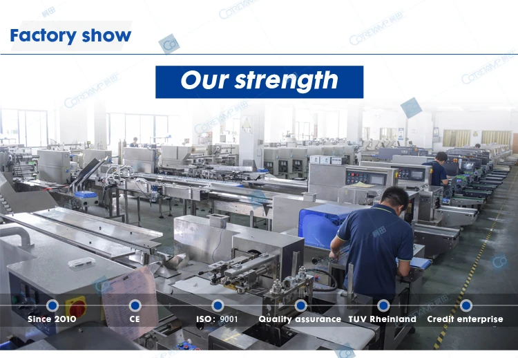 VT-160 Automatic Flat Bread Packing Machine - Easy & Efficient