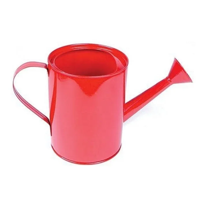 Galvanized Powder Coated Flower Watering Can - Eco-friendly