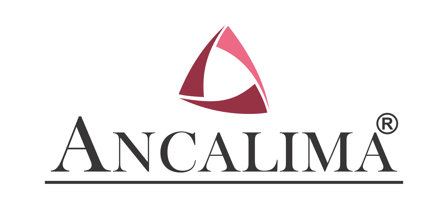 Company Overview - ANCALIMA LIFESCIENCES LIMITED