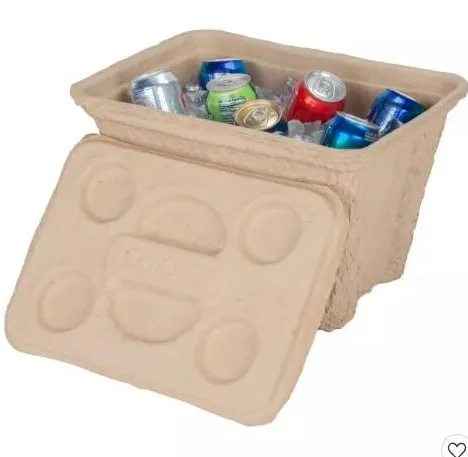 Pulp Storage Box Paper Tray Biodegradable Pulp Ice Cooler/chest Box ...