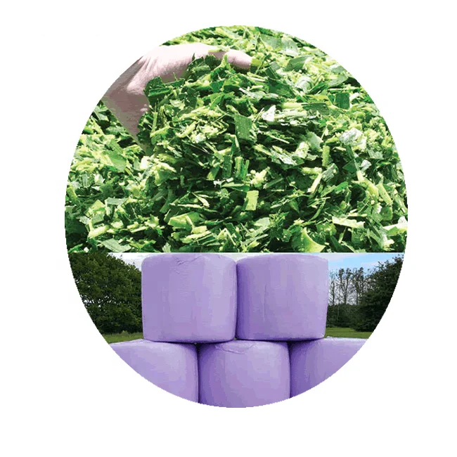 Best Suppliers Of Maize Hay Bales For Animal Feed From Pakistan Top ...