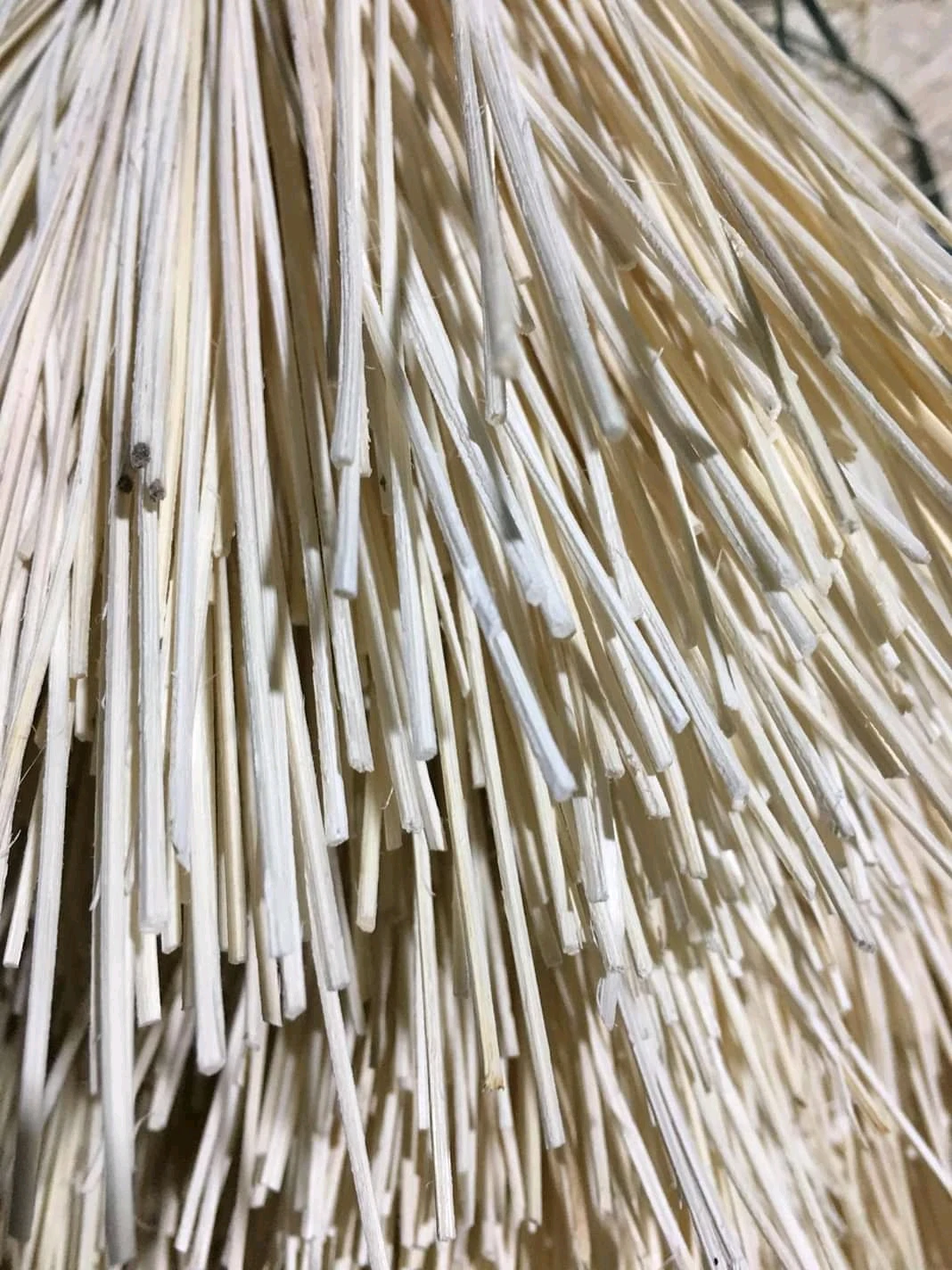 Vietnamese Raw Rattan Cane Natural Rattan Core Cheap Price for Export ...