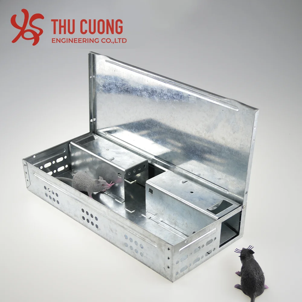 Effective Mouse Traps - Sustainable Pest Control Solutions