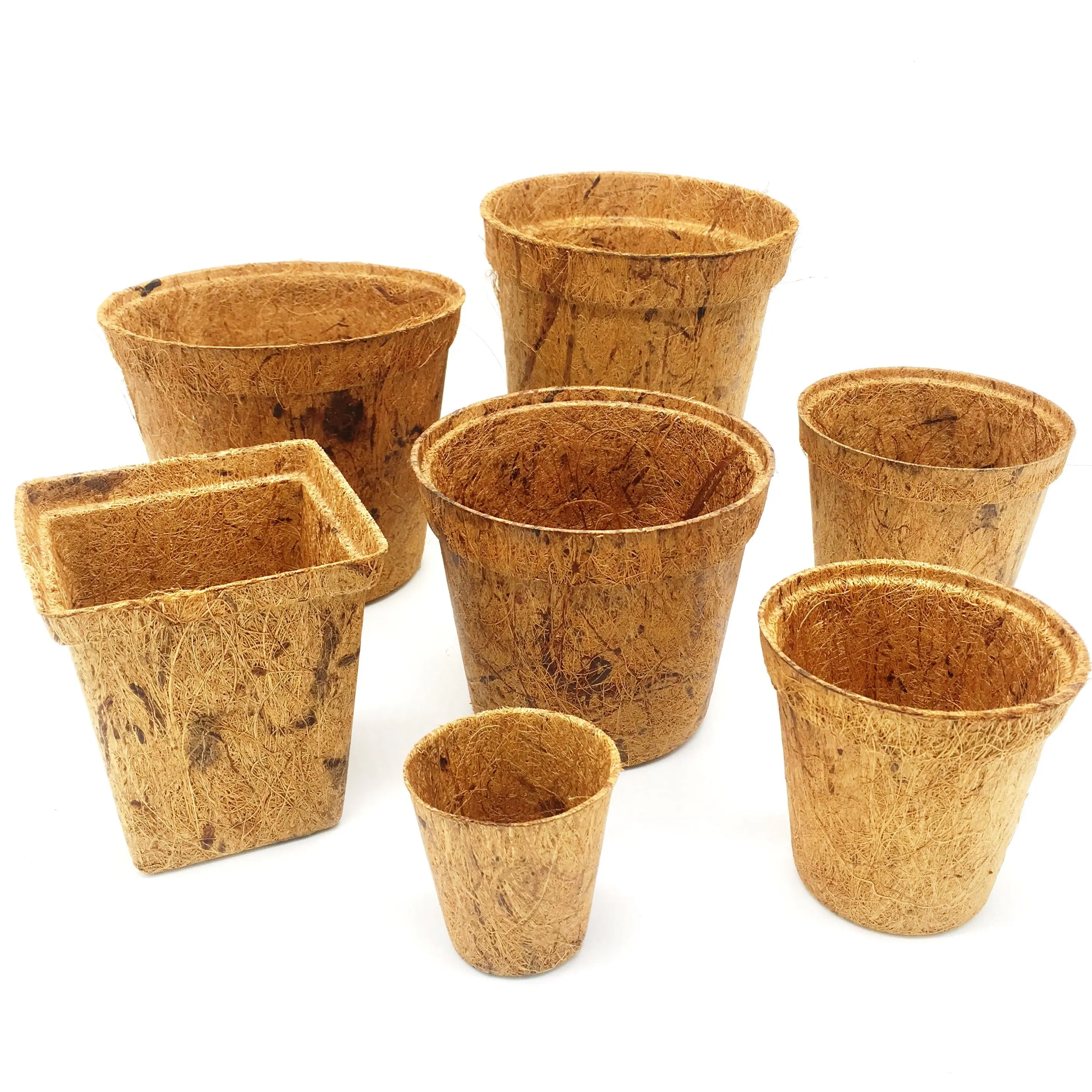 Biodegradable Natural Coconut Fiber Plant Pot Made in Vietnam - Eco2go ...