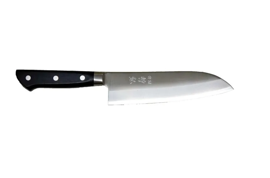 Tetsuhiro Aogami Steel 2 Kitchen Knives - Durable & Sharp