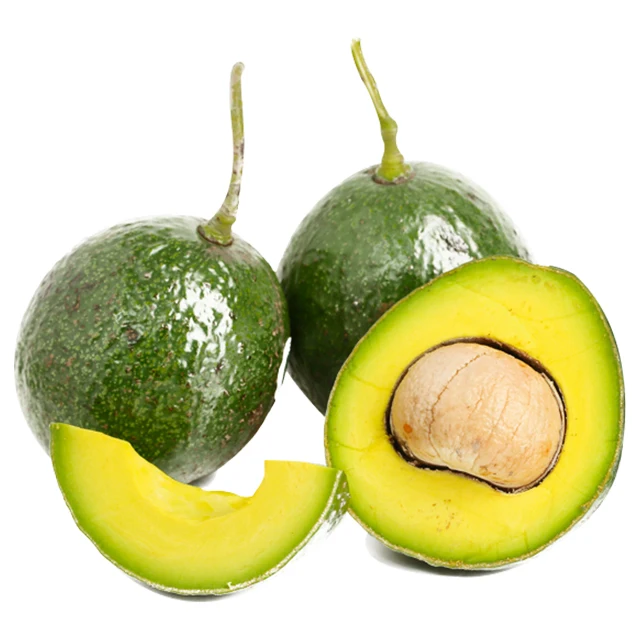 High Tropical Fruit New 2022 Booth Avocado Made in Vietnam