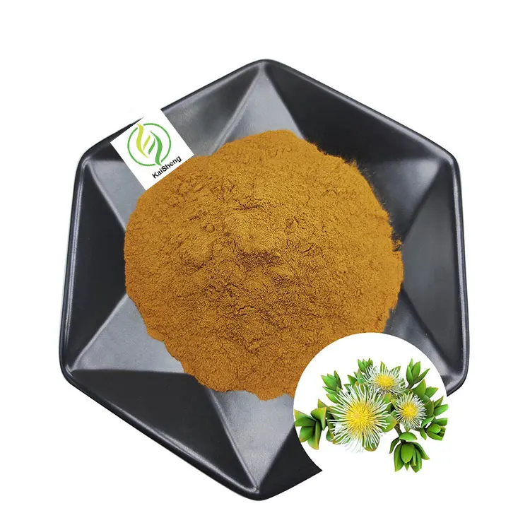 Lampranthus Spectabilis Sceletium Extract Powder Tortuosum Kanna ...