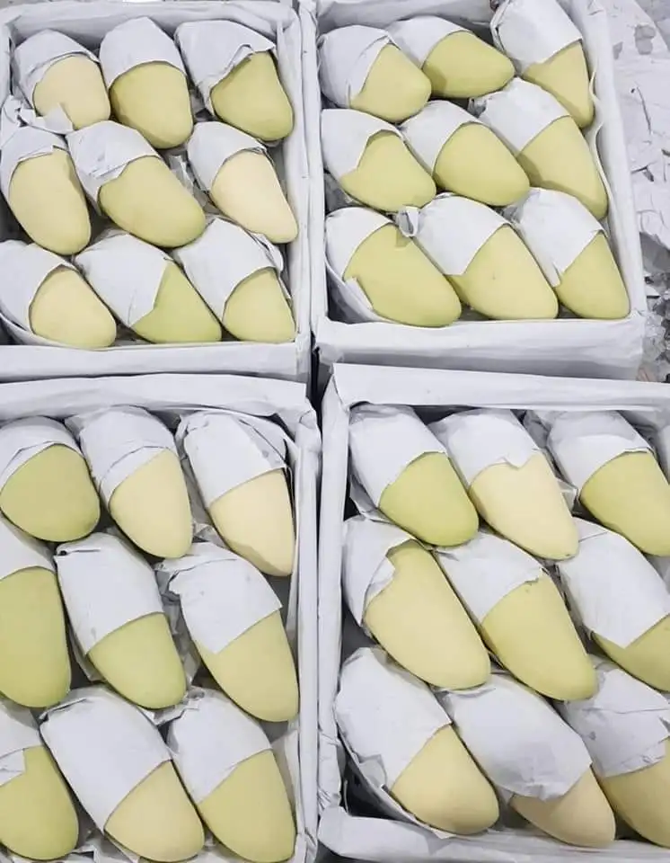 Fresh Mango Fruit Kaew - High Quality & Delicious Taste