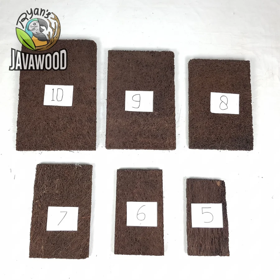 Tree Fern Panels for Sale - High Quality & Sustainable