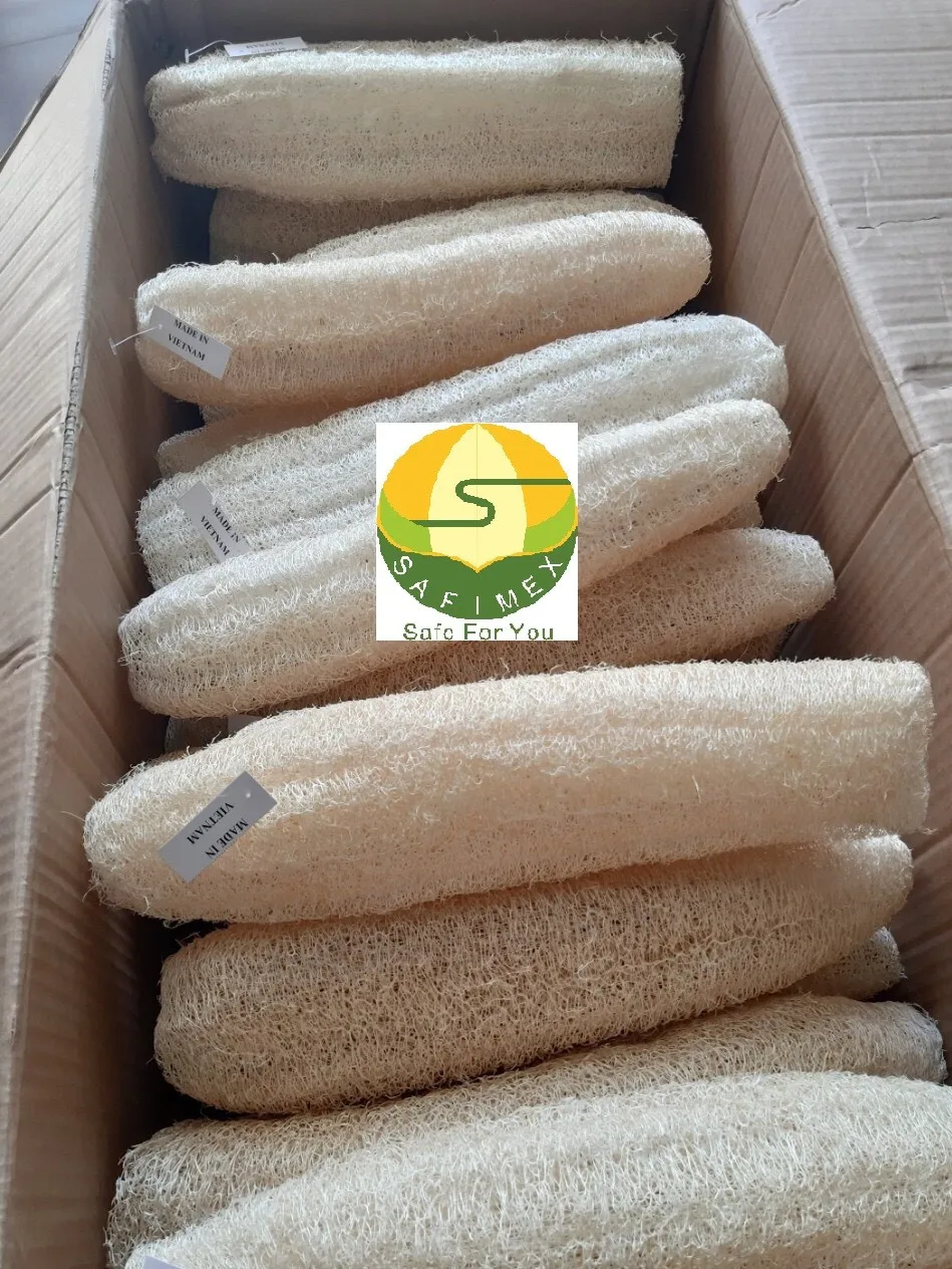Vietnam Whole Dried Loofah For Kitchen Clean / Luffa Pad Sponge For ...