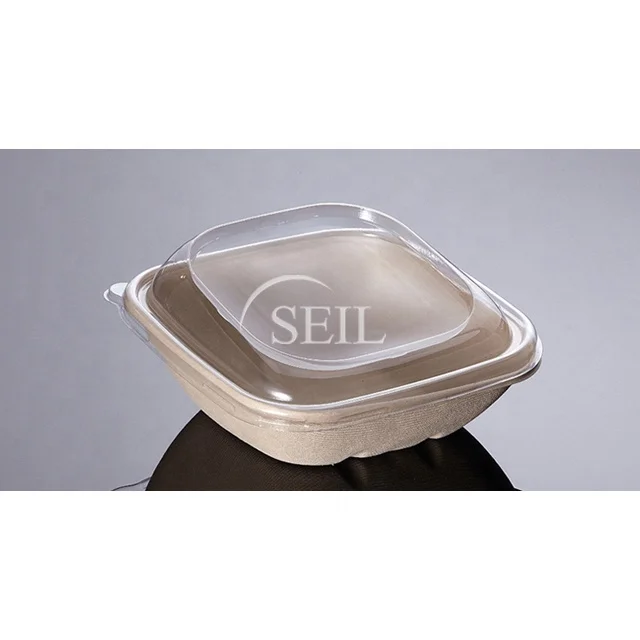 Sl-7x7,Sugarcane Bagasse Container With Lid / Compostable Food Grade ...
