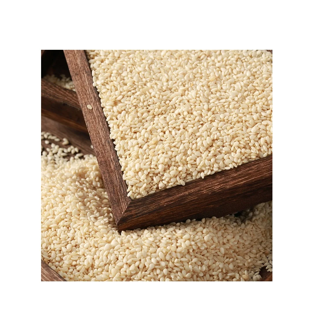 White Sesame Seeds Origin Sesame Oil Seed Agricultural - Buy Sesame ...