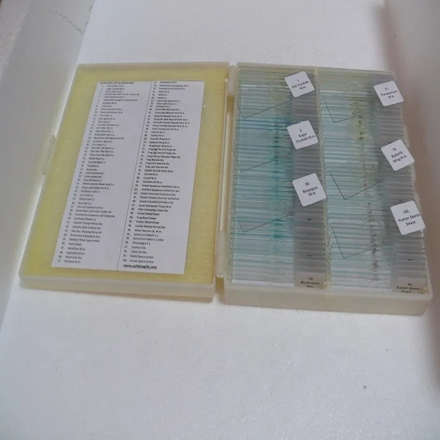 Microscope Histology Human And Medical Prepared Histology Slides Set ...