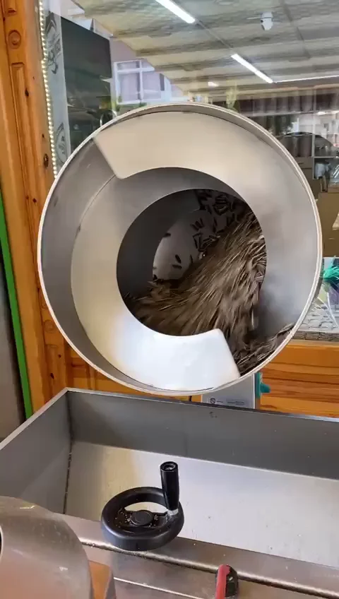 Nuts Roasting Machine High Quality 304 Stainless Steel Easy Use Peanut ...