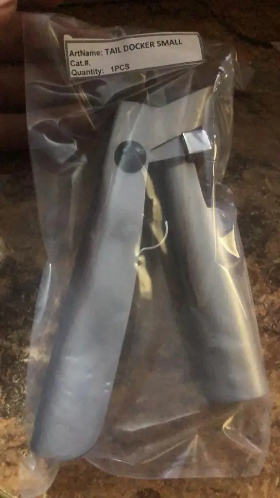 Pigs Piglet Gas Tail Docker New Born Pig Tail Dockertail Docking Of ...