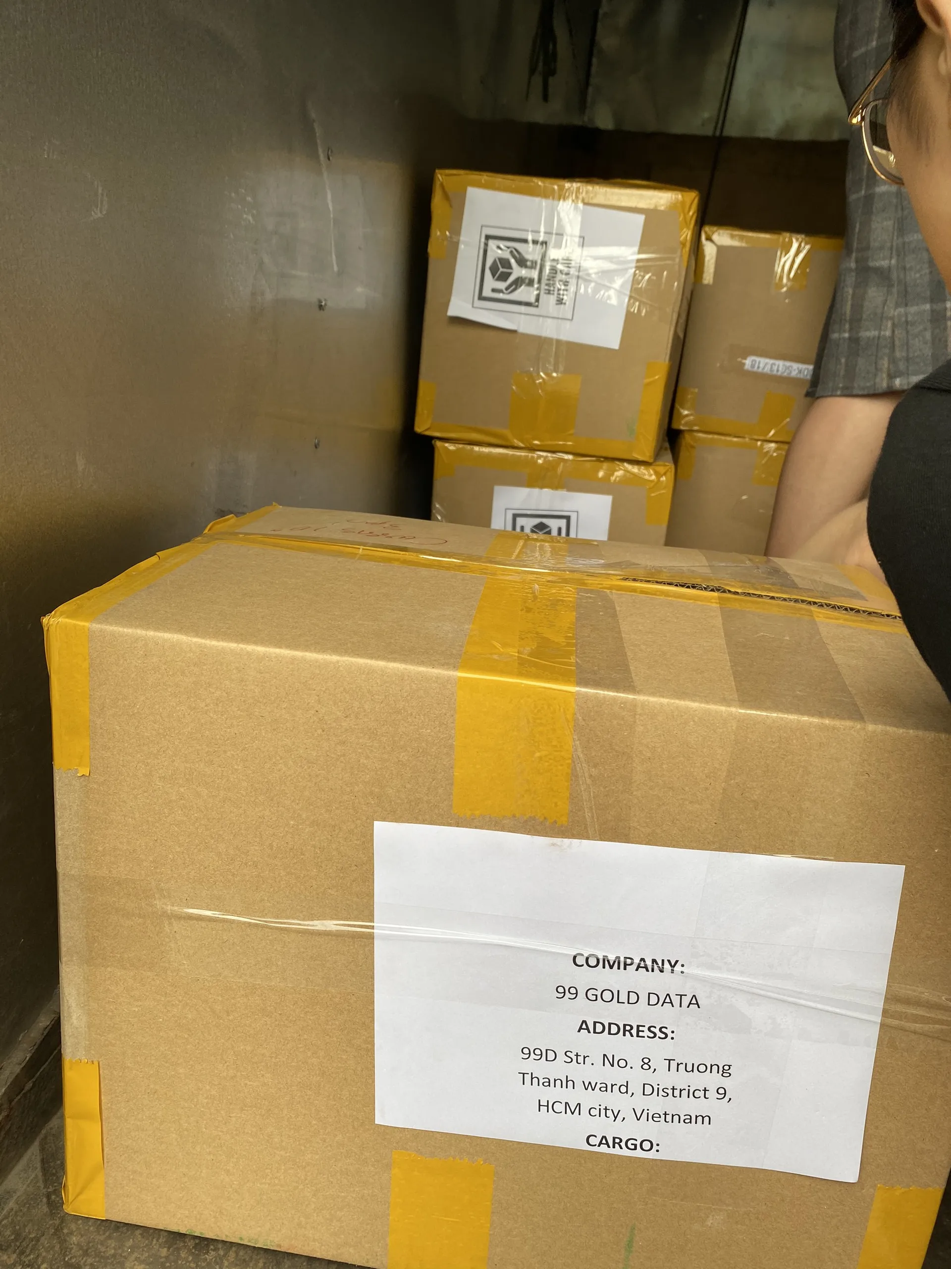 Vietnam High Quality Murex Operculum Seashell Bulk Seashells Murex ...