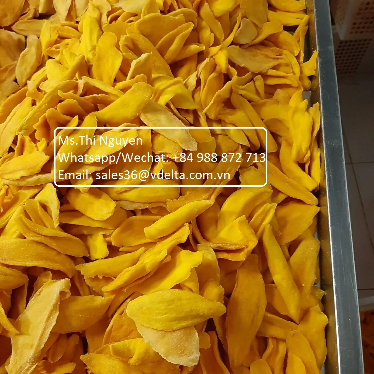 Wholesale Dried Mango Slices - Sour, Sweet, and Nutritious