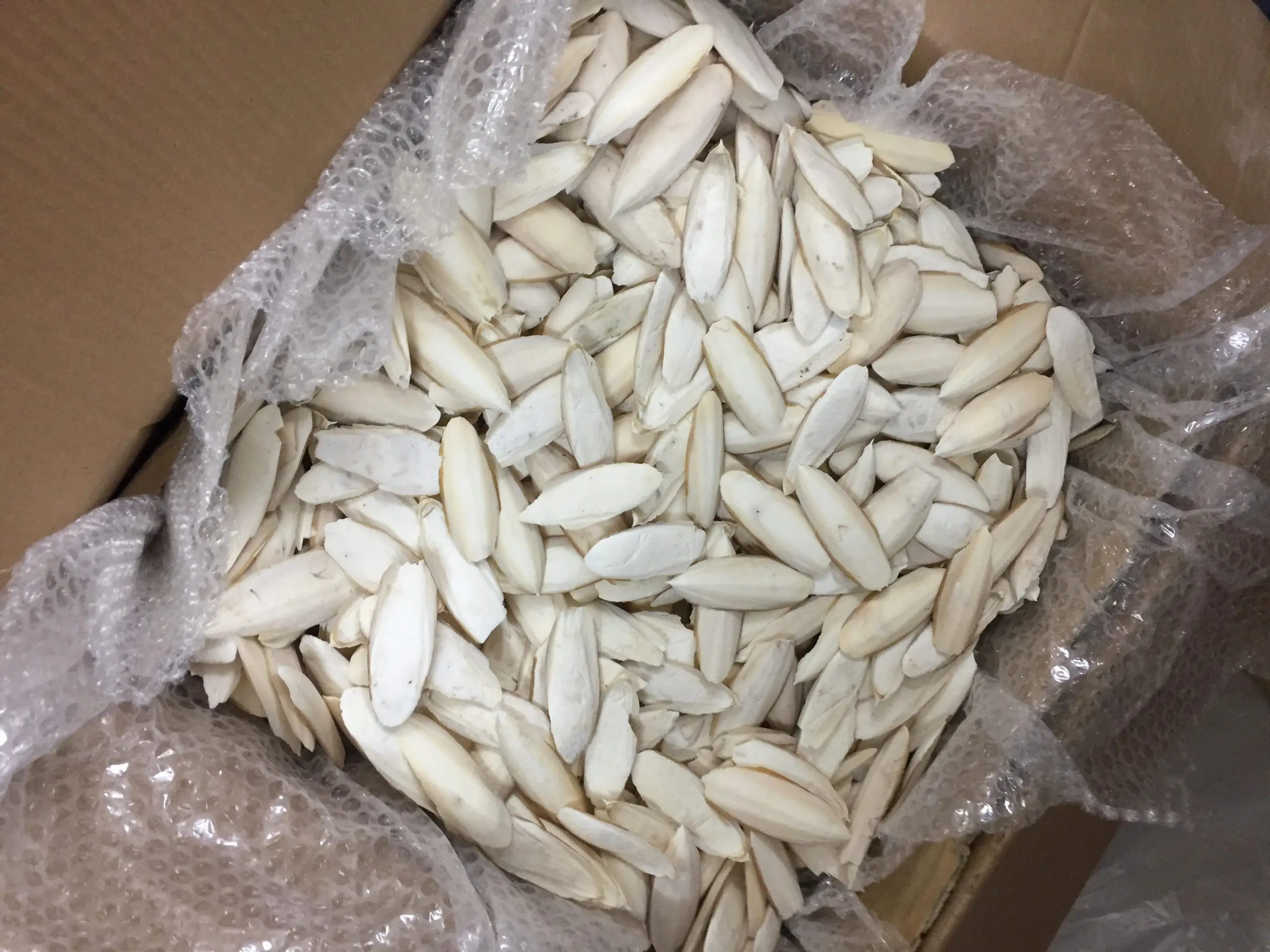 Animal Feed Cuttlefish Bone From Vietnam-hot Sale Products At Cheap ...