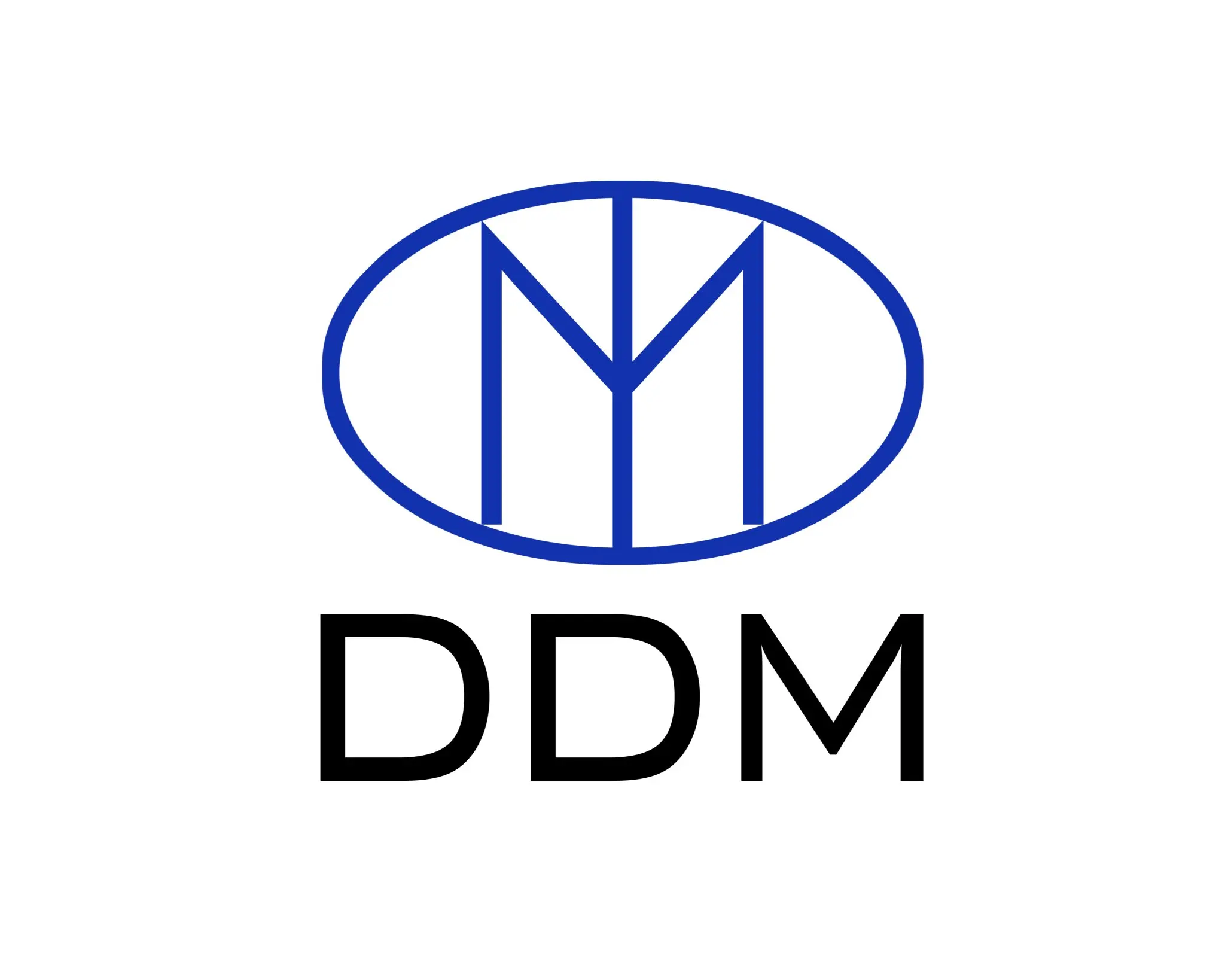 Company Overview - VIETNAM DDM IMPORT & EXPORT COMPANY LIMITED