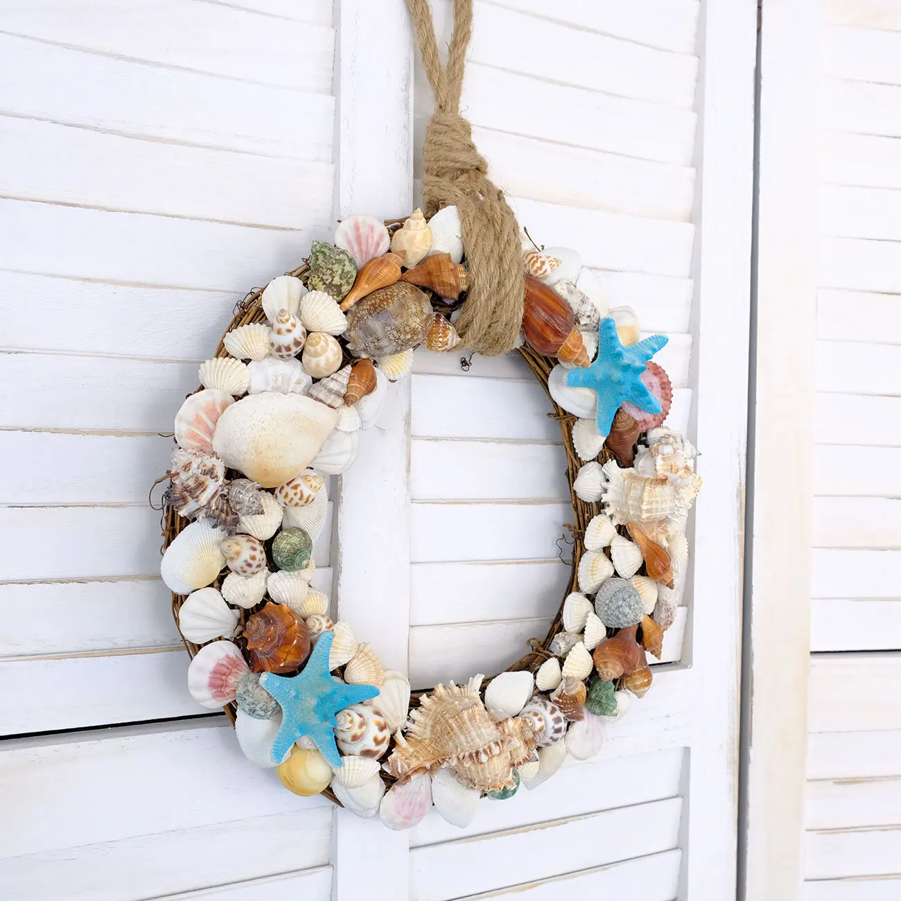 Beautifully Decorative Seashell Snail Shells From Vietnam - Lucky Sea ...