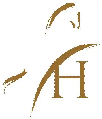 Company Overview - HAWK INTERNATIONAL