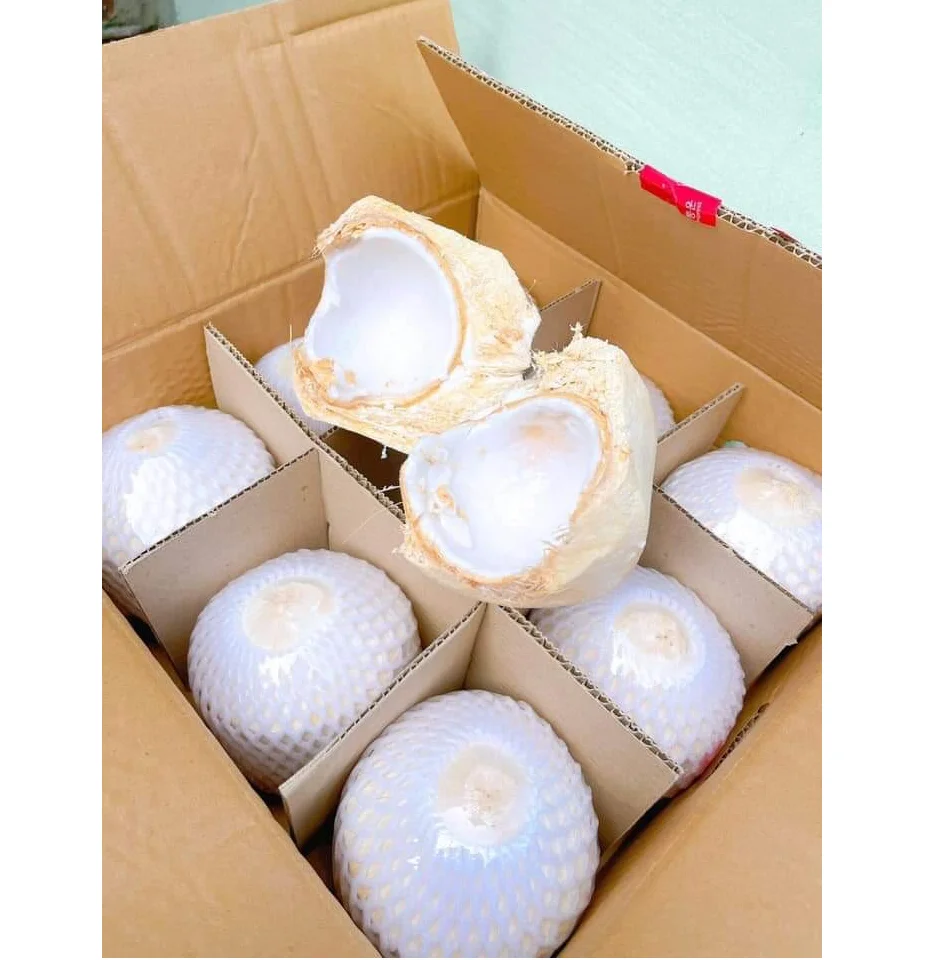 Fresh Coconut Diamond Cut Coconut No Husk Made In Vietnam High Quality ...