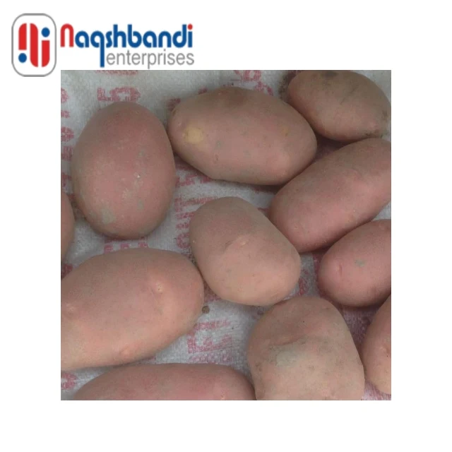 Fresh Potato From Pakistan - Buy Red Potato Pakistani,Sante Potato ...
