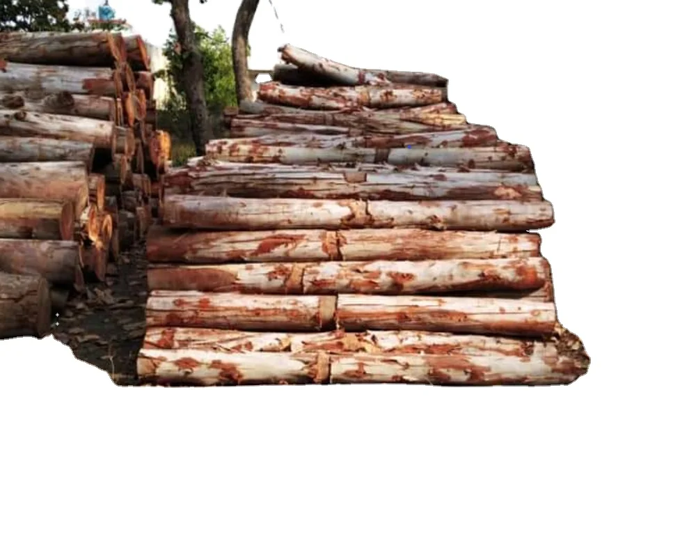 Natural Teak Wood Log
