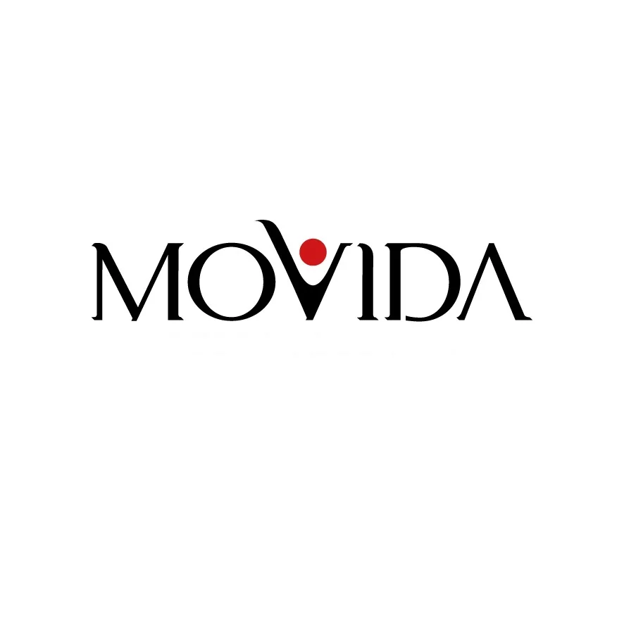 Company Overview - MOVIDA S.R.L.