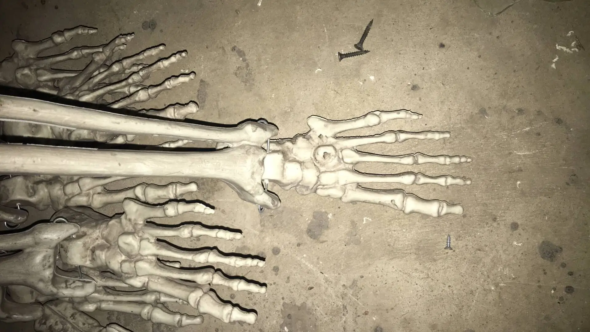 165cm Halloween Skeleton - Realistic Plastic Decoration