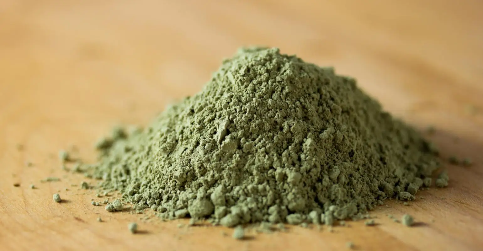Green Dried Sea Moss Powder - High Quality Ulva Lactuca