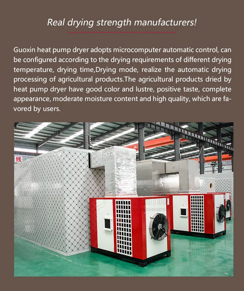 Industrial Fruit Drying Machine - High Efficiency & Low Consumption
