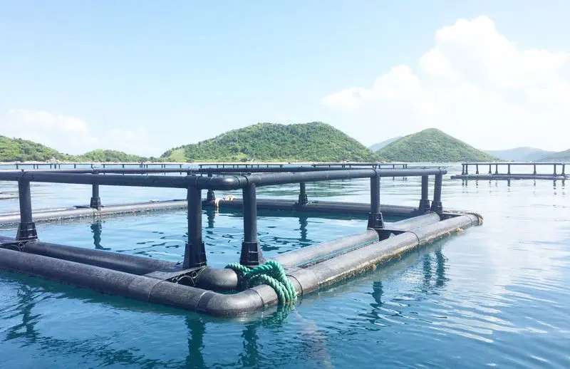 Hdpe Floating Square Cage Farming Fish Cage Floating Black Frame Square ...