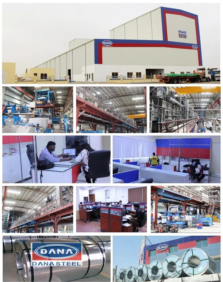 Company Overview - DANA STEEL PROCESSING INDUSTRY LLC