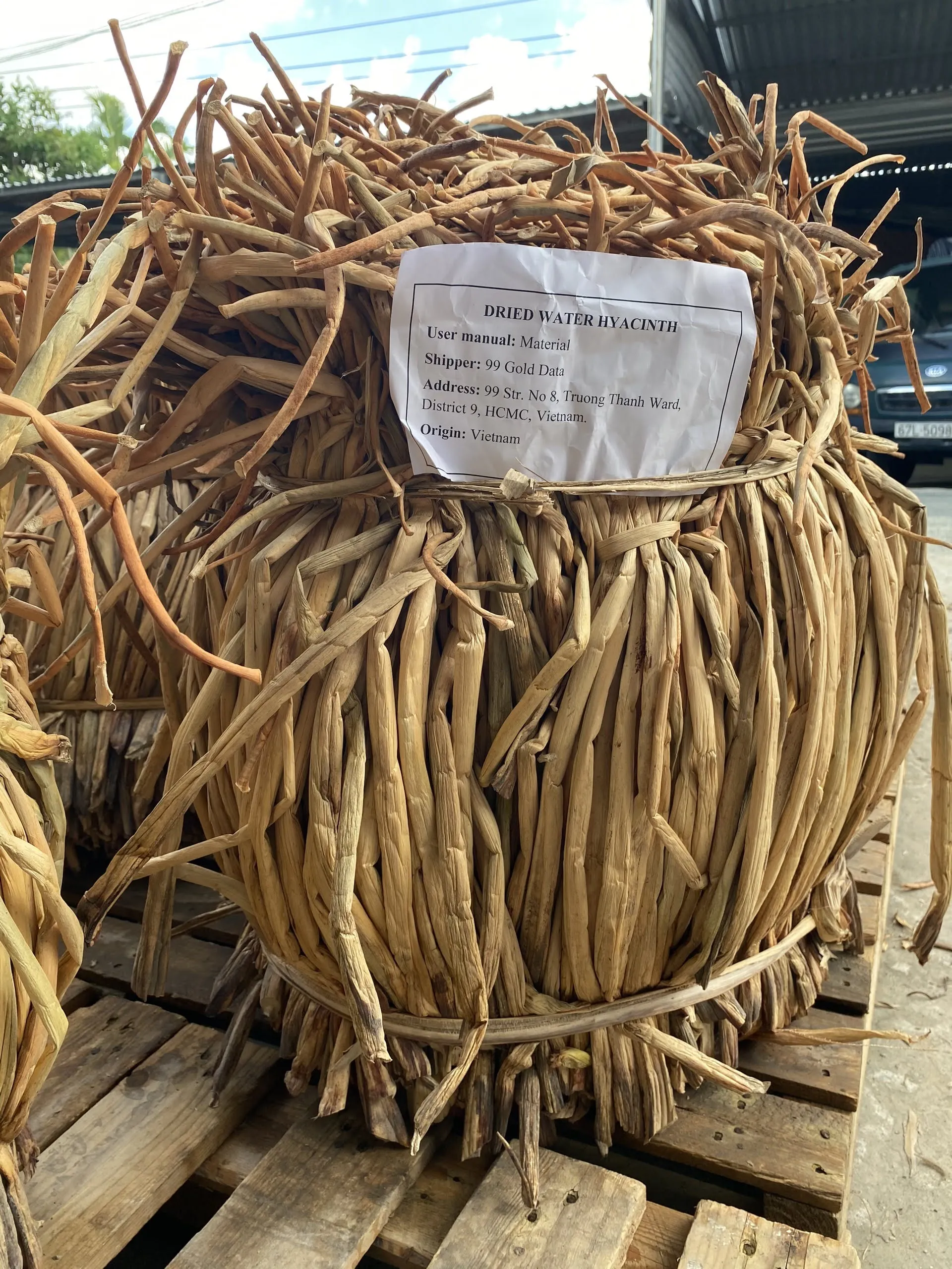 Dried Water Hyacinth To Weave Furniture And Handicraft - Buy Raw Water ...