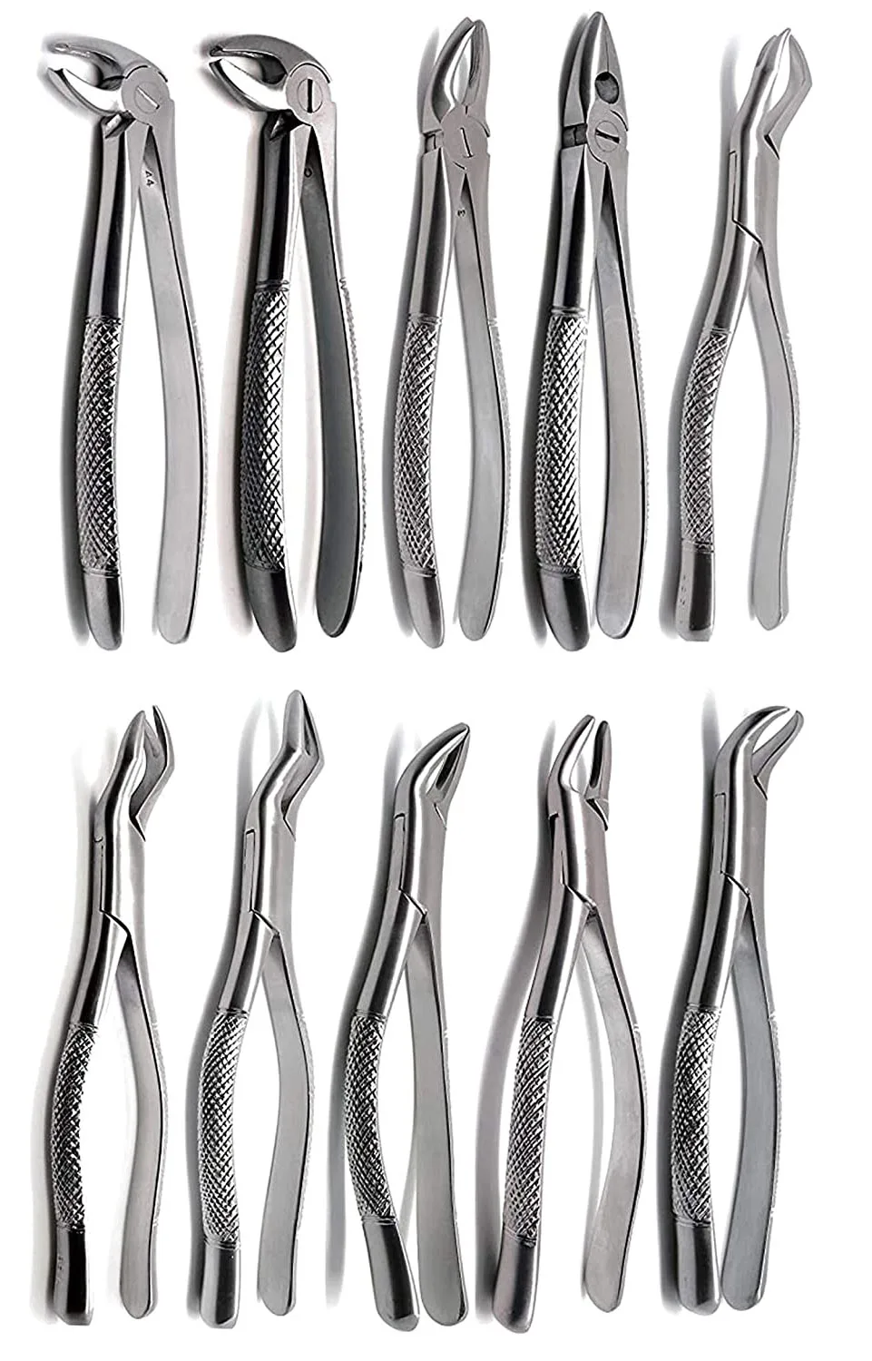 Ash Forceps Extraction Lustra 22 Dental Oral Surgery Instrument