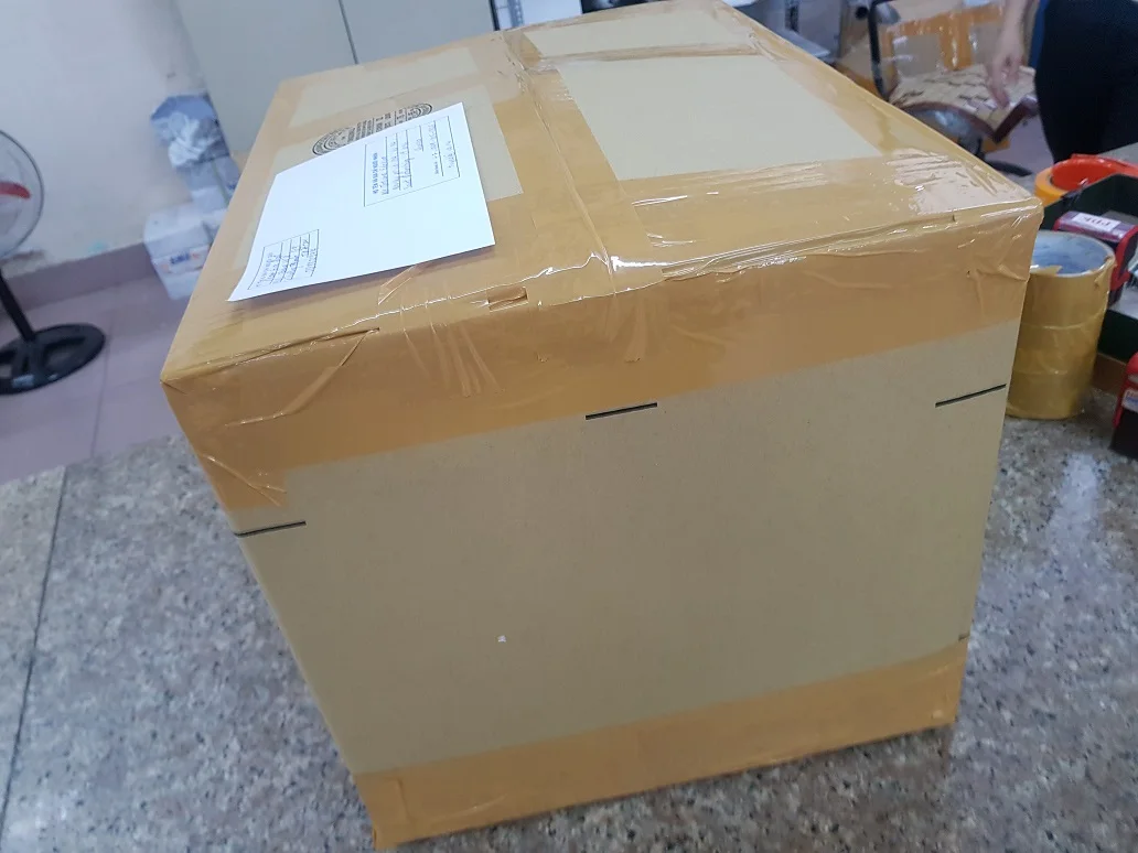 Beautiful Sea Shell/ Snail Shell From Vietnam (jasmine: +99 Gold Data ...