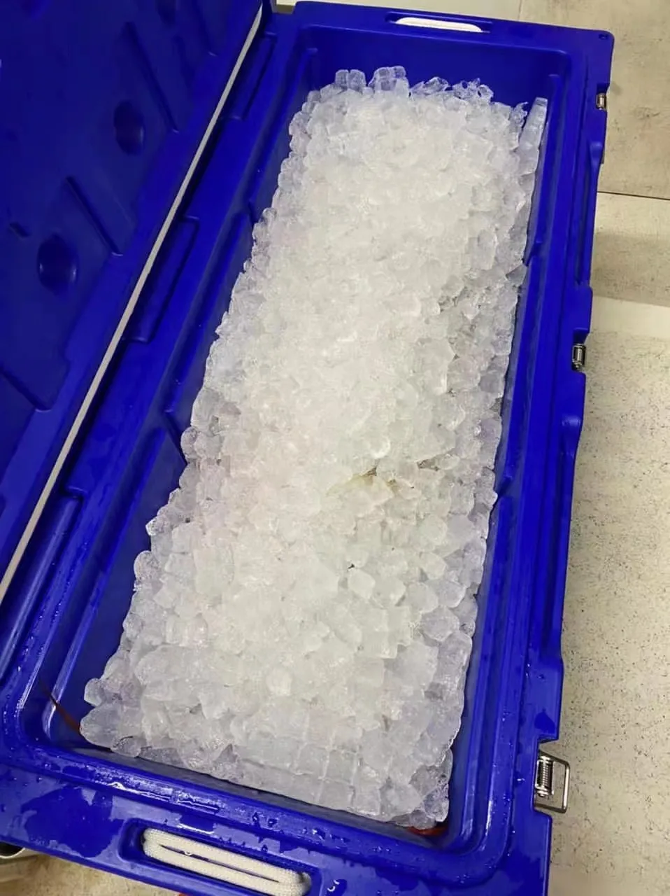 180 Litres Rotomolded Ice Box - Ultimate Insulated Cooler