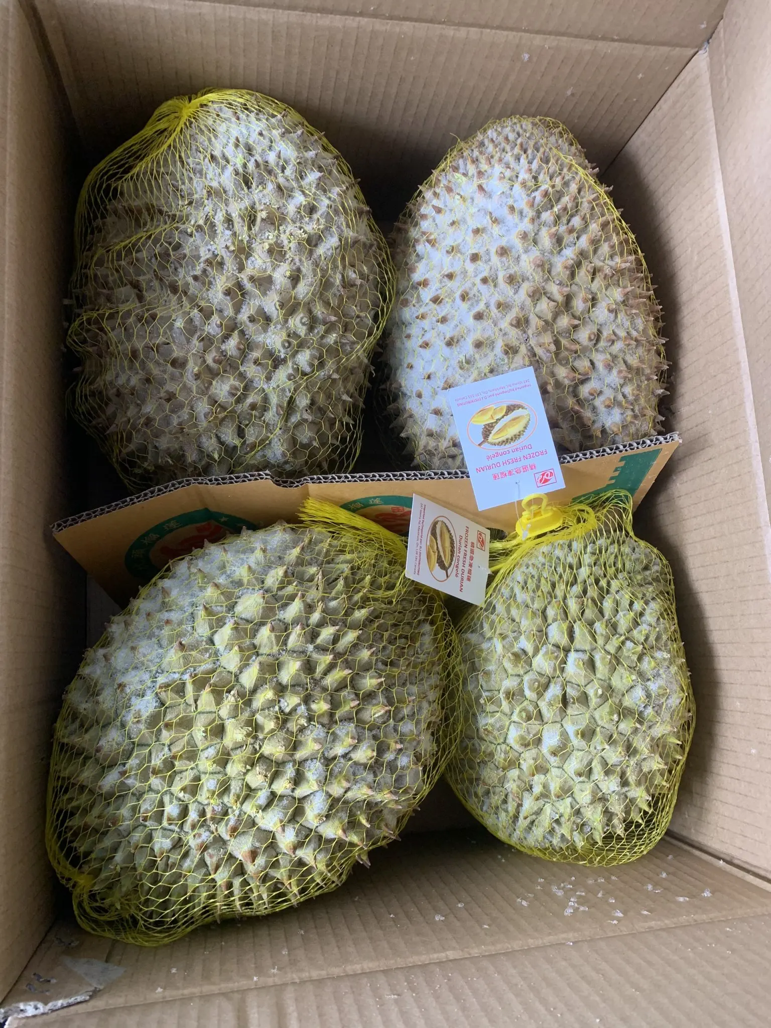 Durian 100 % Tropical Styletype Size Grade Product Fresh Fruit Place ...