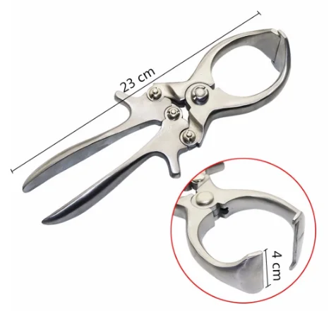 Animal Castration Plier Castration Forceps Stainless Steel No Blood ...